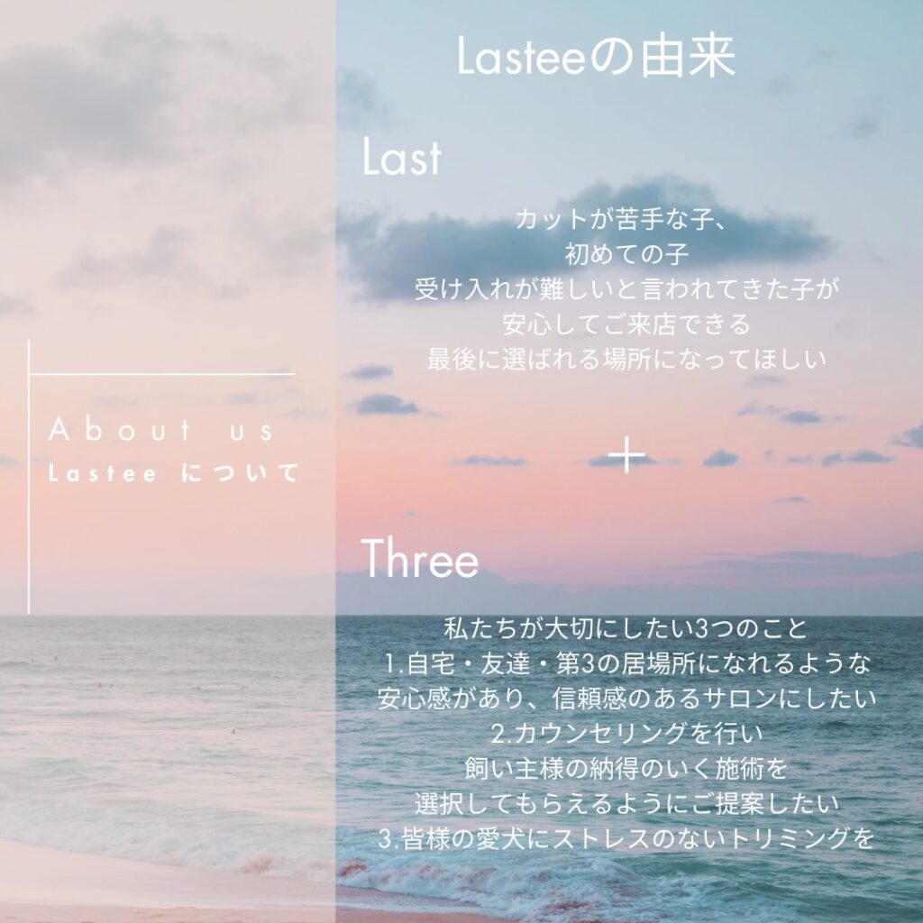 なかやま犬猫病院 往診専門